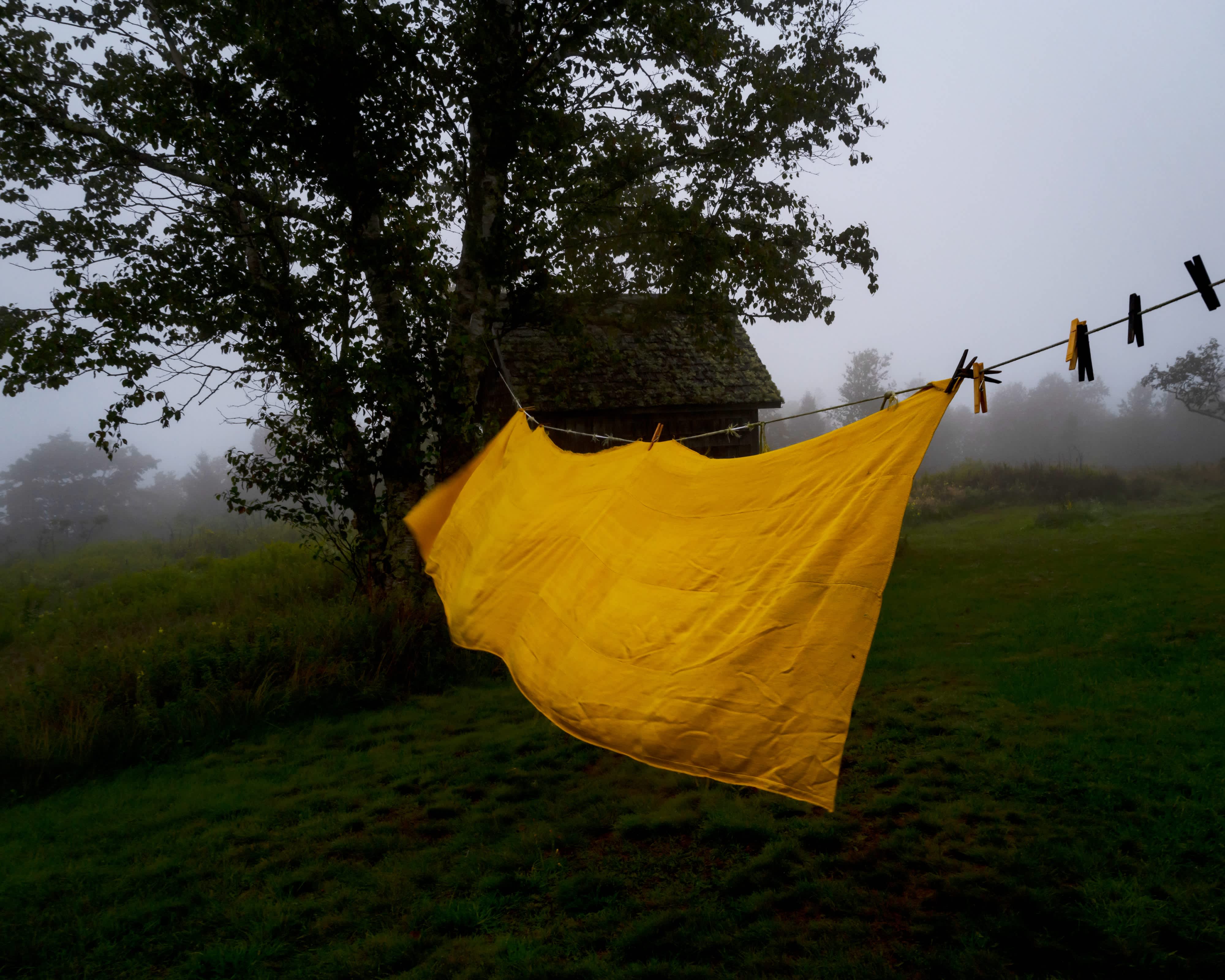 Cig Harvey | Jackson Fine Art