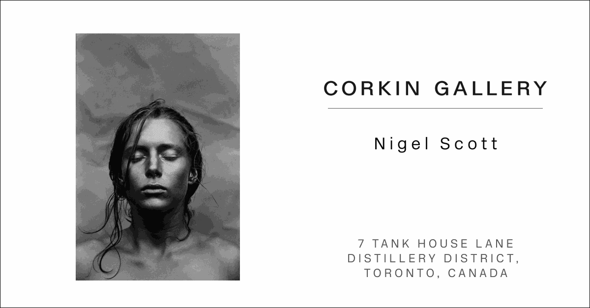 Nigel Scott | Corkin Gallery