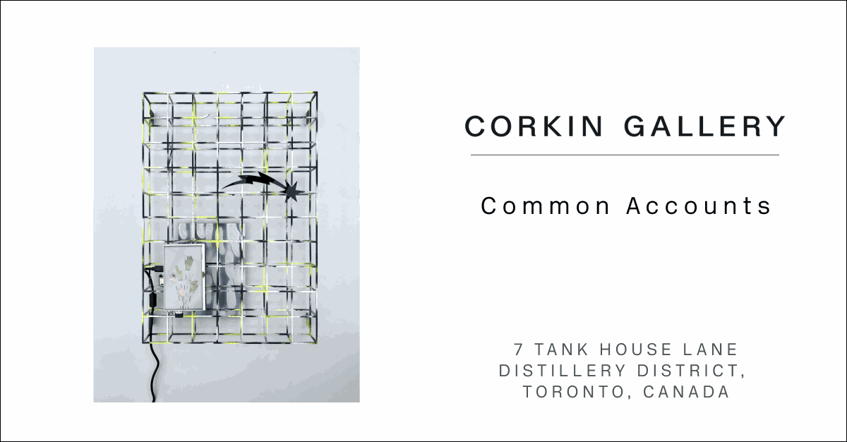 Common Accounts | Corkin Gallery