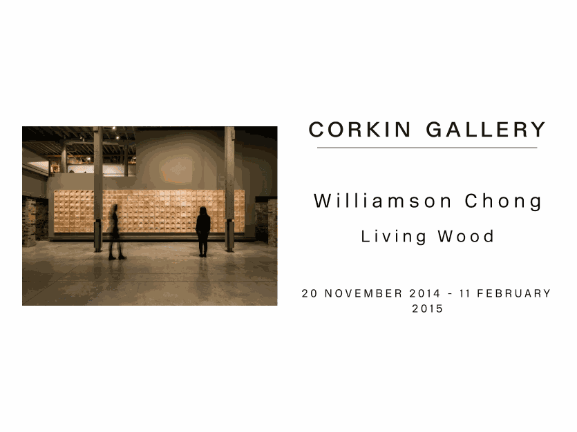 Williamson Chong - Living Wood | Corkin Gallery
