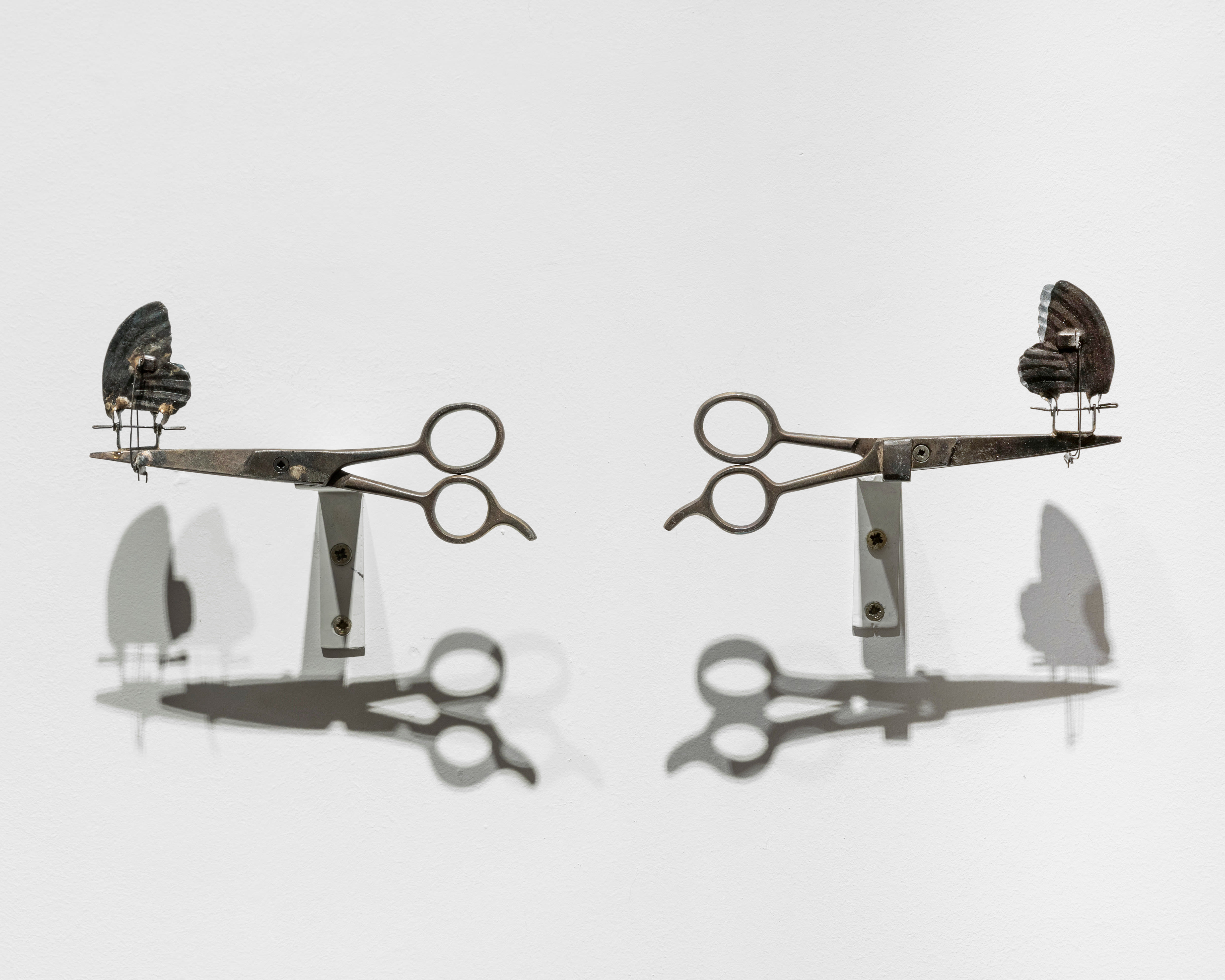 Tim Lewis | Flowers Gallery