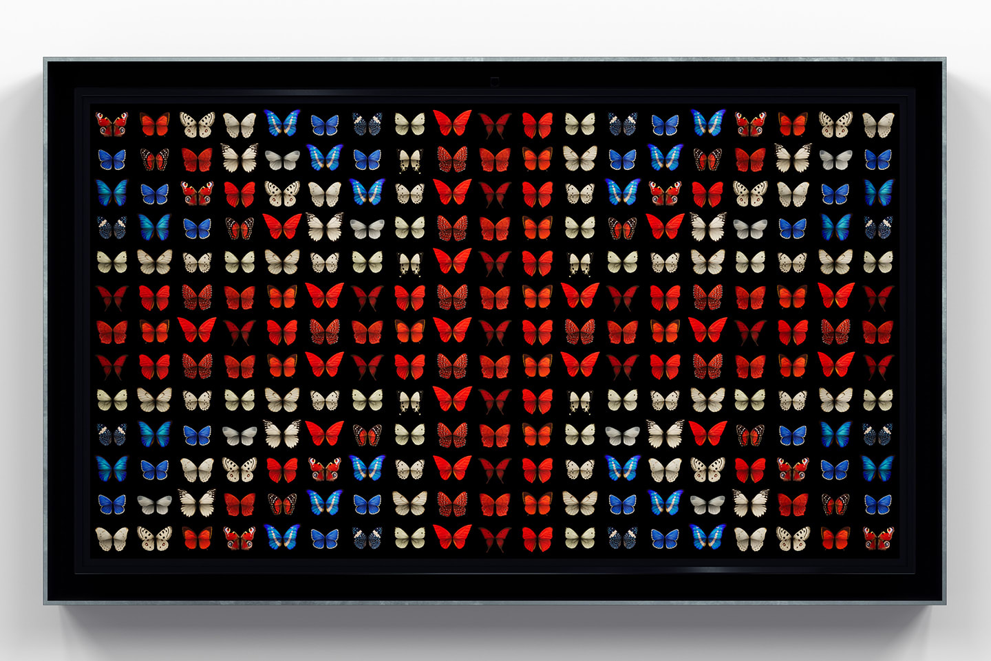 Dominic Harris | Halcyon Gallery