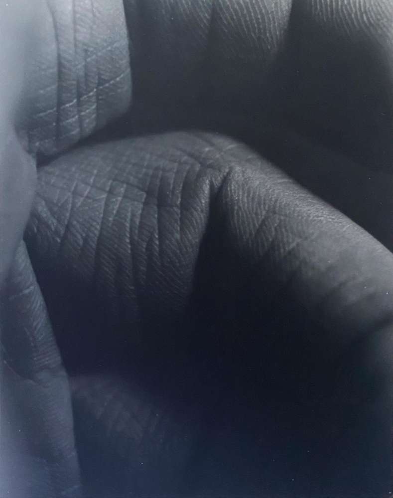 Tommy Nease | Jackson Fine Art