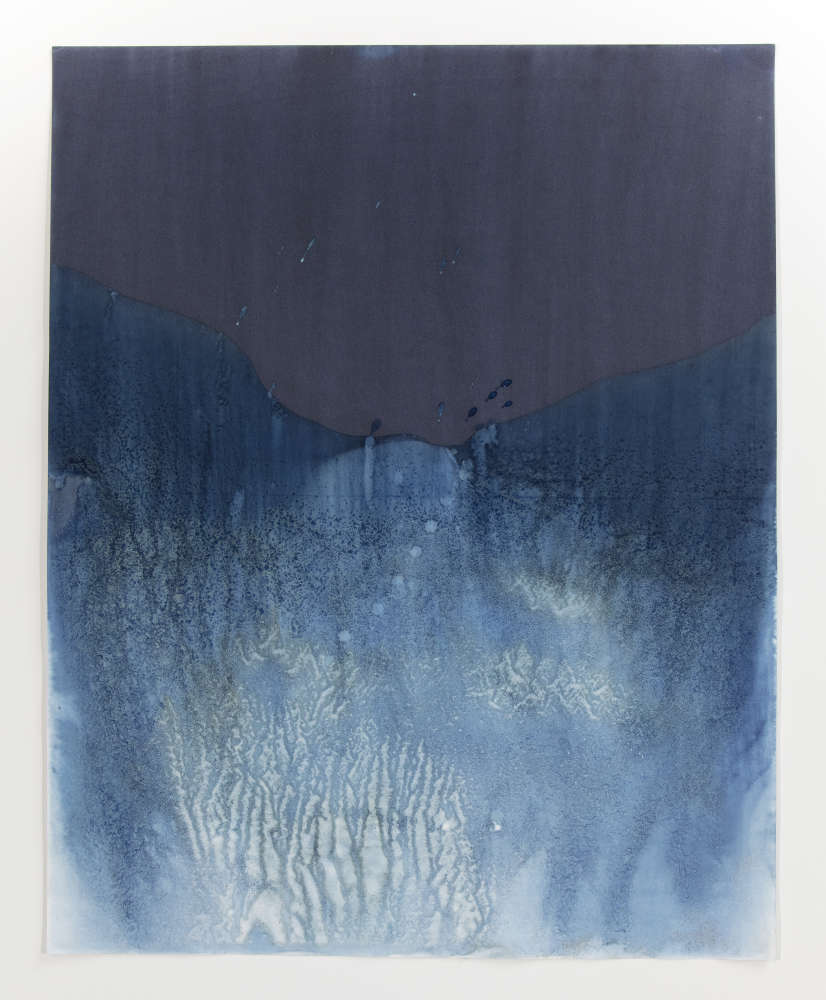 Meghann Riepenhoff | Jackson Fine Art