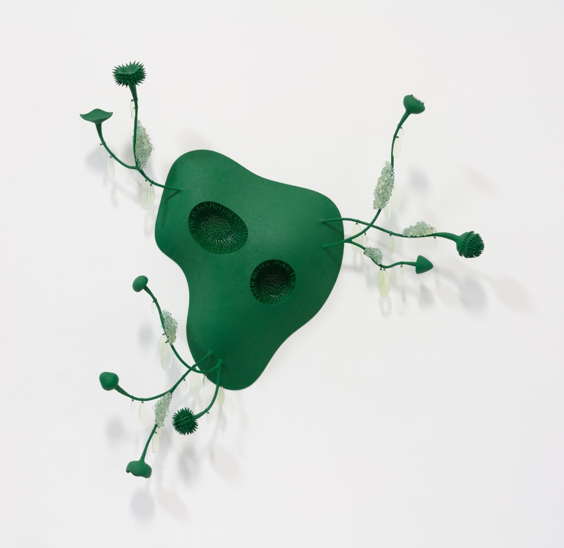Anicka Yi | Esther Schipper
