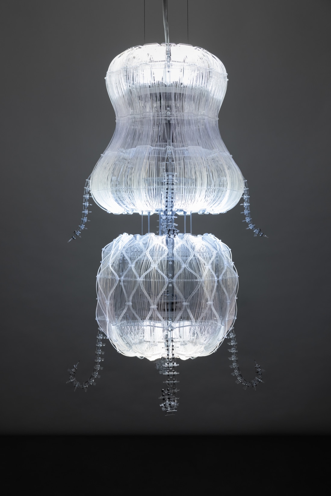 Anicka Yi | Esther Schipper