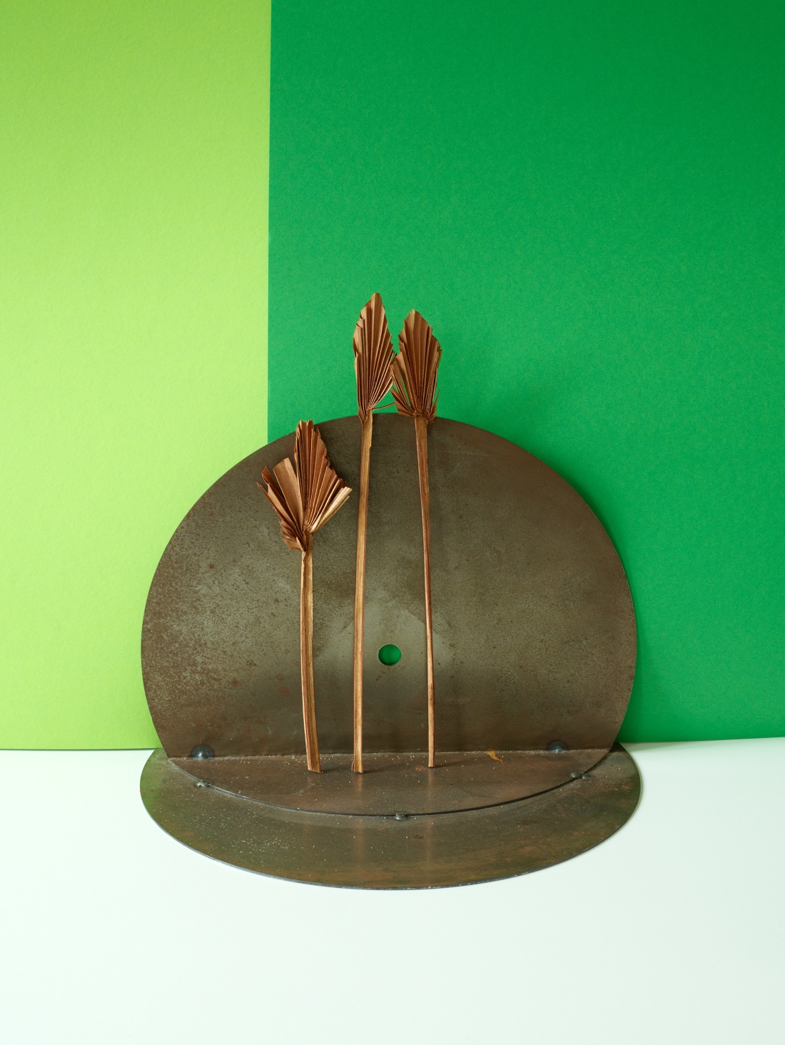 Annette Kelm | Esther Schipper