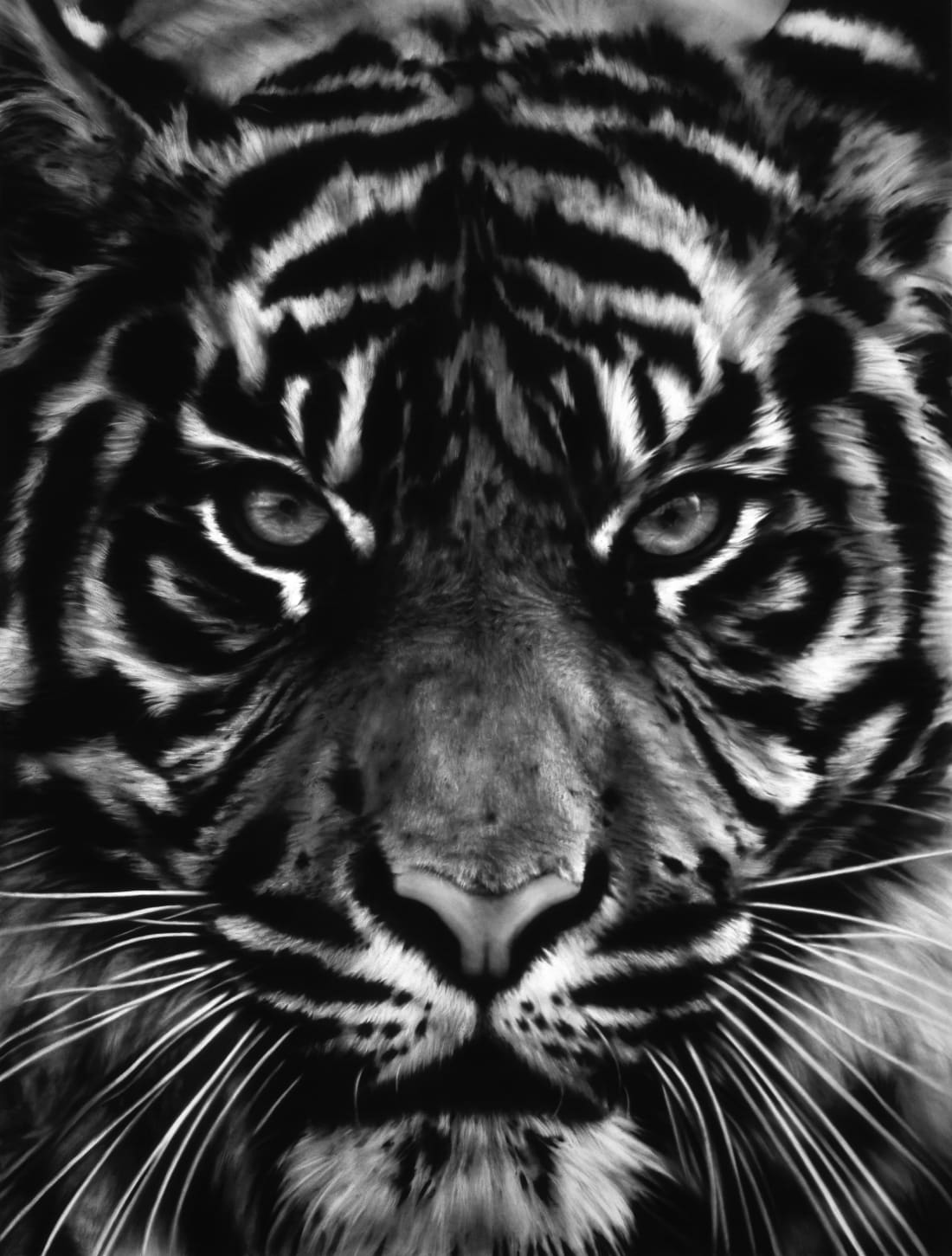 Robert Longo | Thaddaeus Ropac