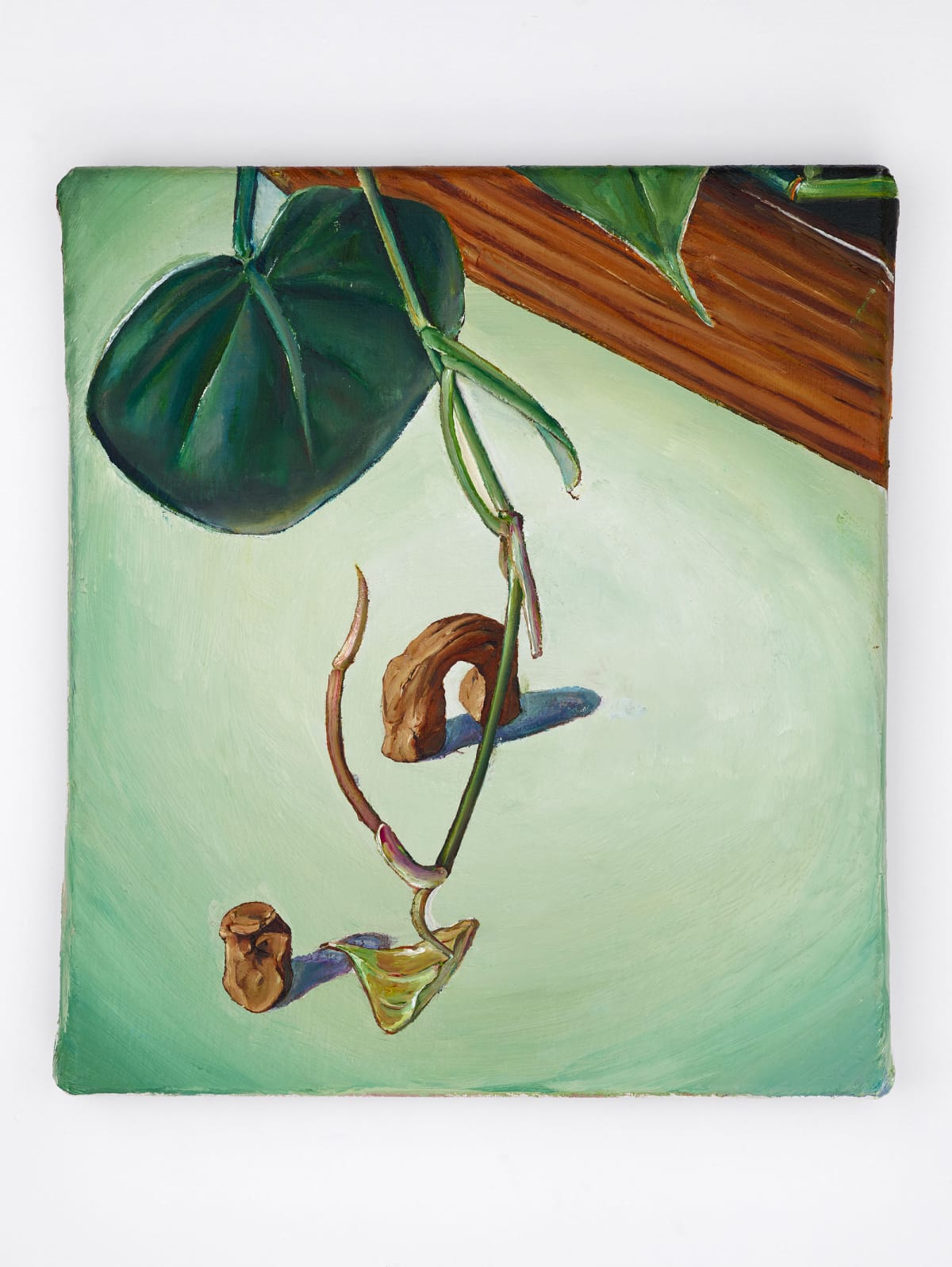 Léopold RABUS works | Aeroplastics