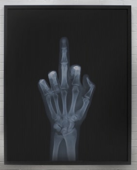 x ray artist nick veasey