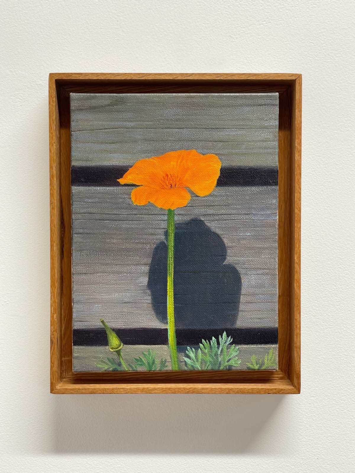 michael hall carpentry