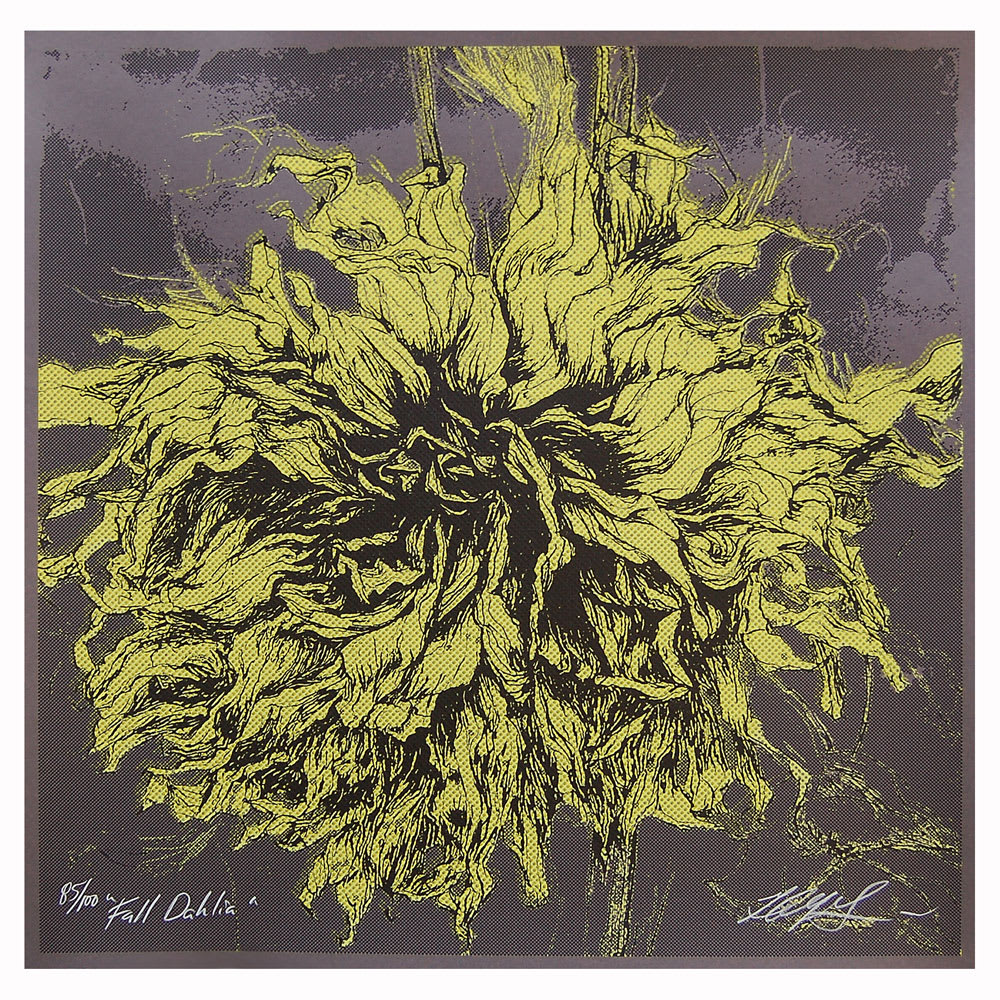 Helen Gotlib works | Chicago Art Source