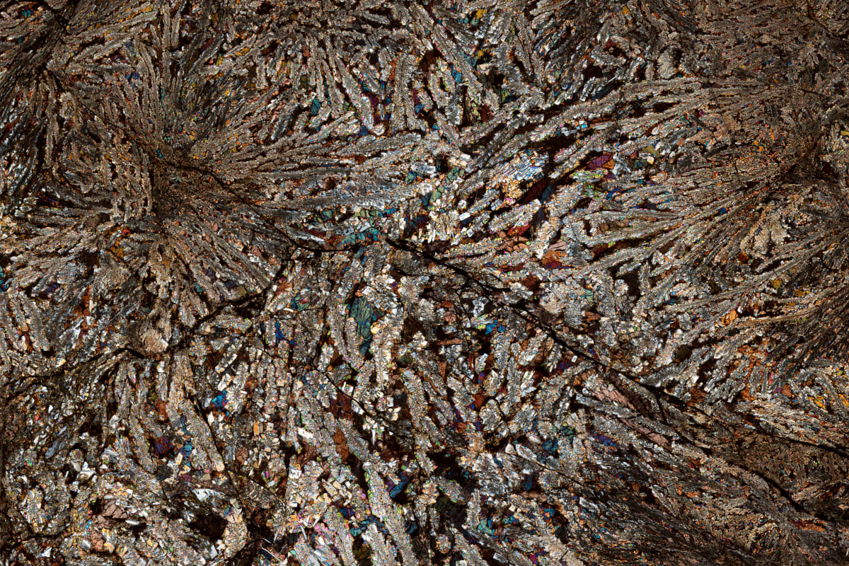 Neil Buckland works | Chicago Art Source