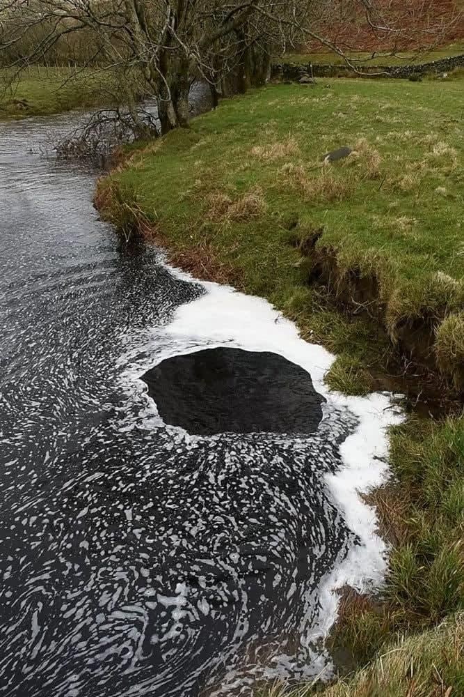 andy goldsworthy watershed