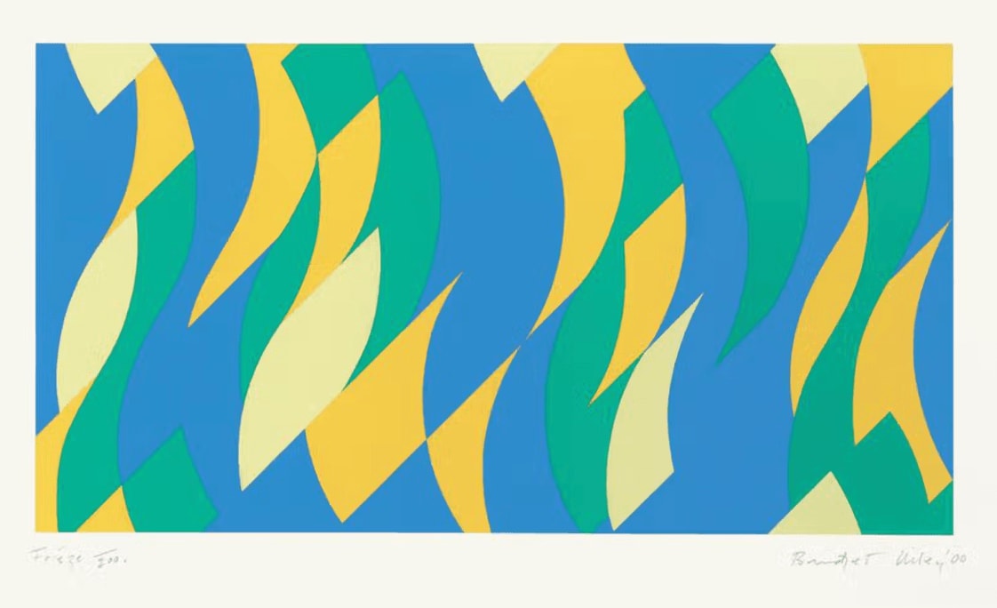 bridget riley fold