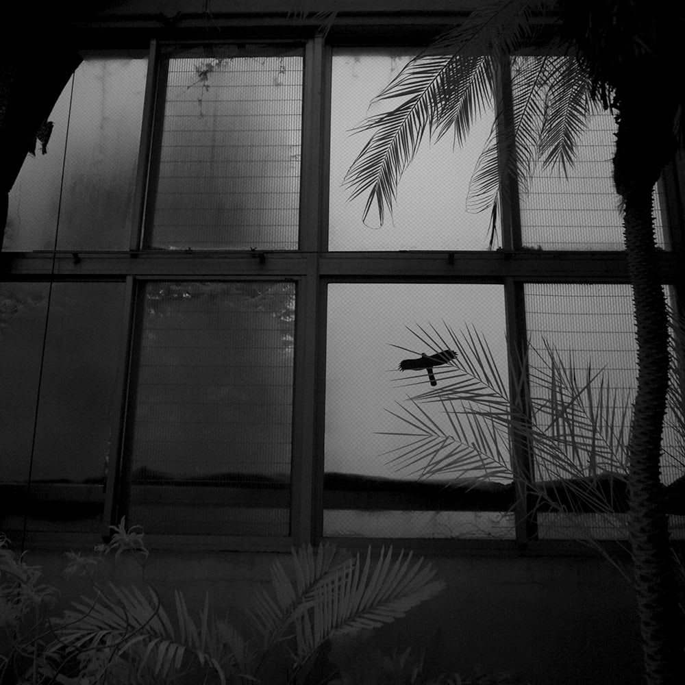 Toshiya Watanabe - Works | IBASHO