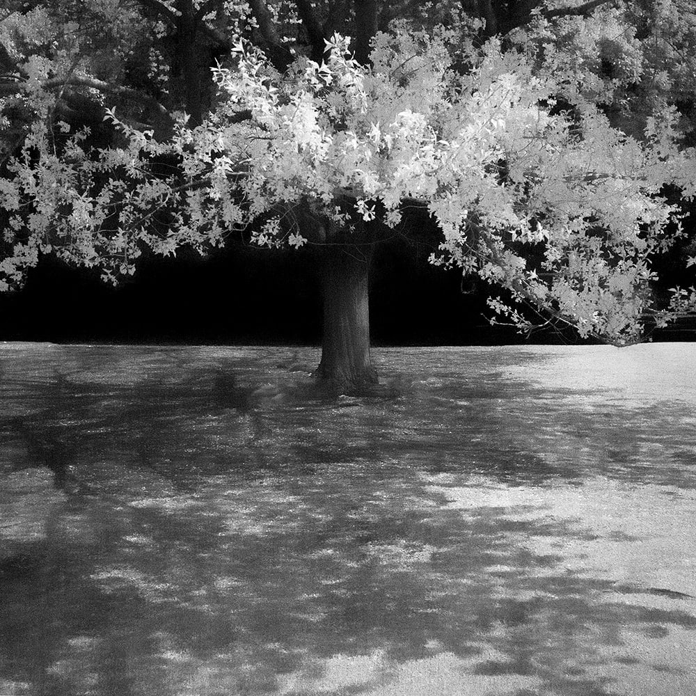 Toshiya Watanabe - Works | IBASHO