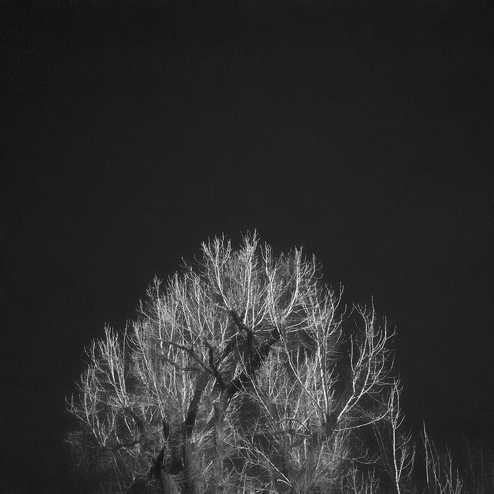 Toshiya Watanabe - Works | IBASHO