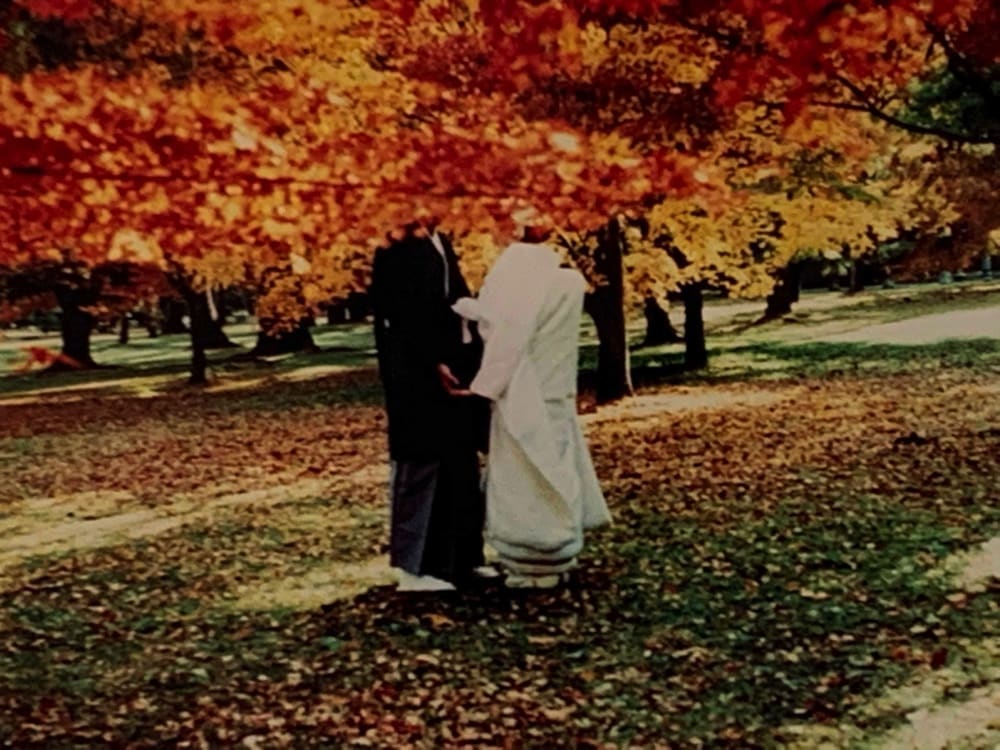 Sean Lotman - Series | IBASHO