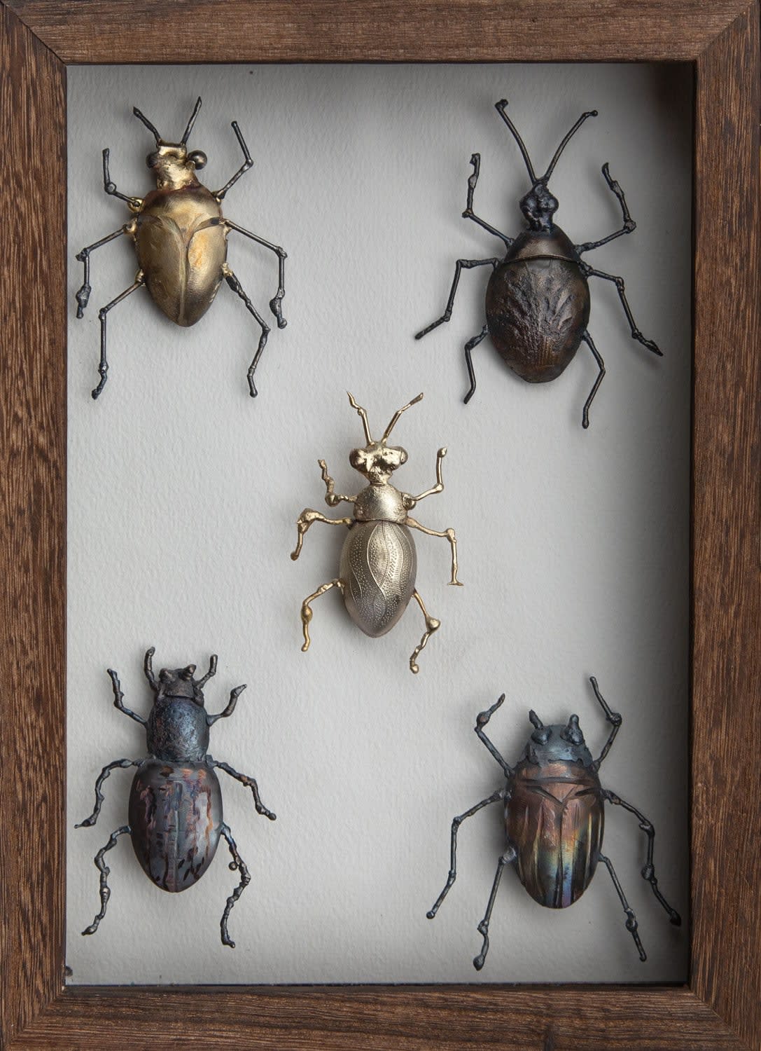 Beetle box store