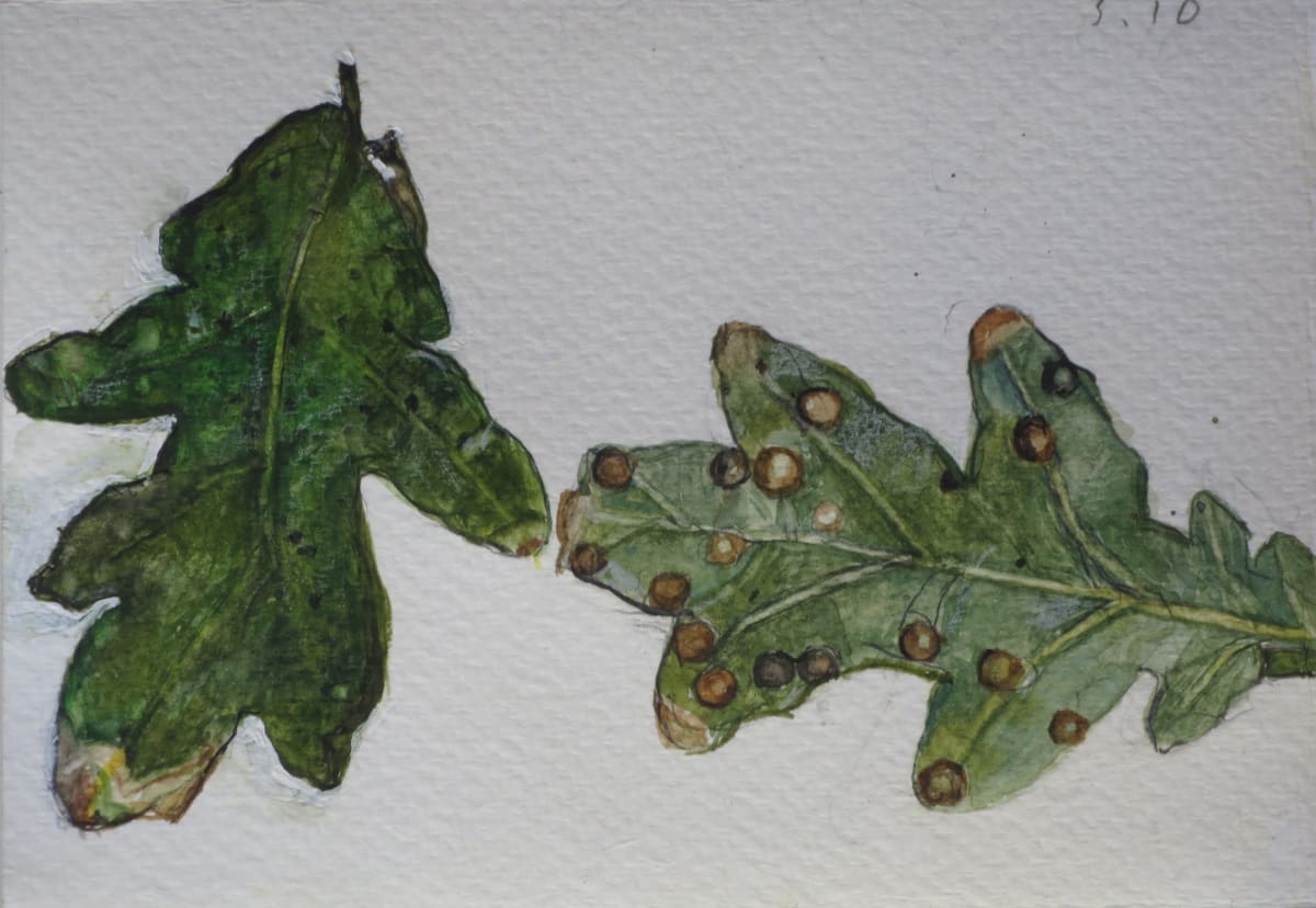 Brian Sayers works | Long and Ryle