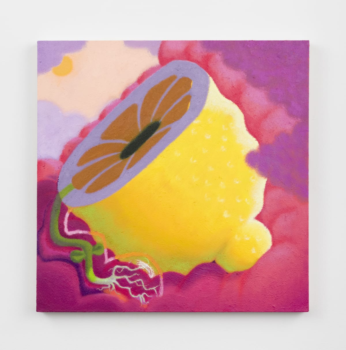 ferriswheelshipping lemon