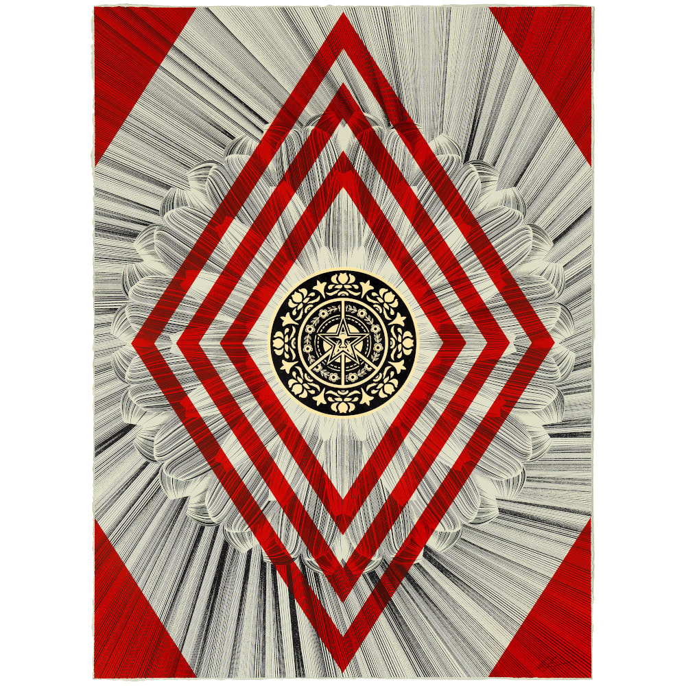 Obey Pattern Shepard Fairey (Obey) – New York 2010