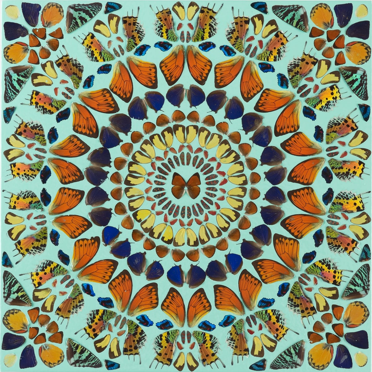 damien hirst pattern