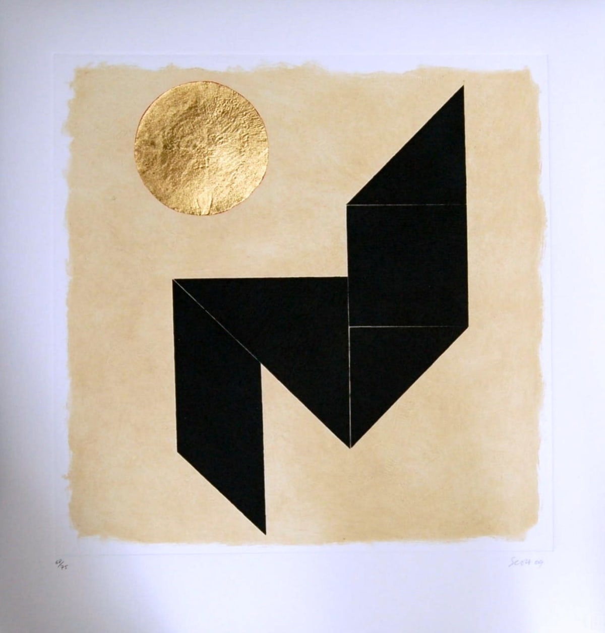 patrick scott patent