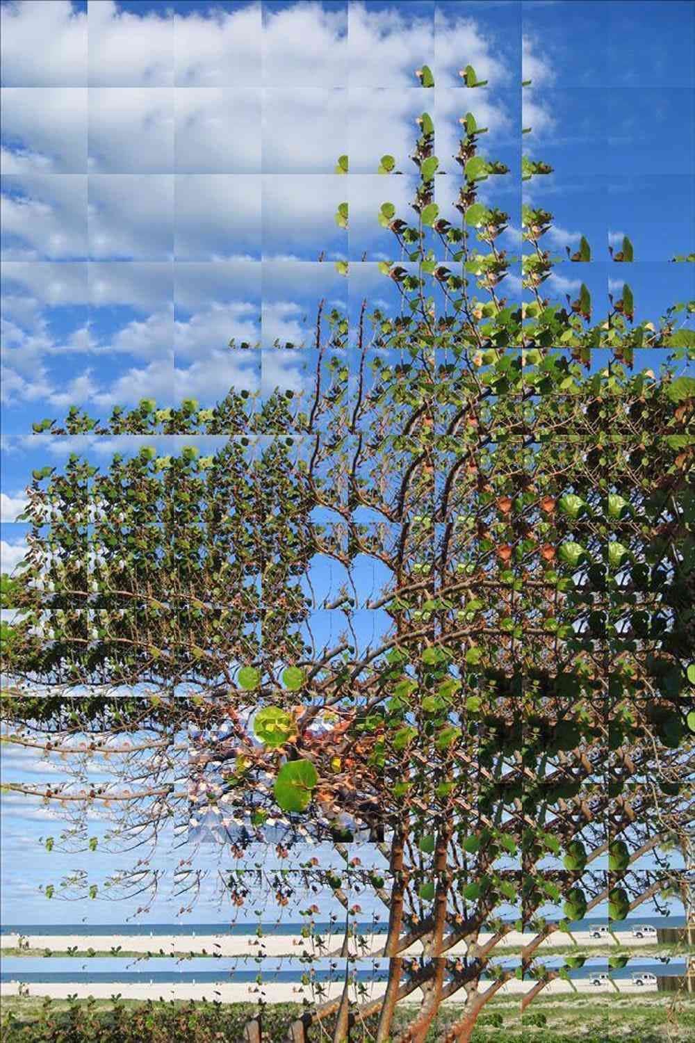 Exhibitions | Pan American Art Projects