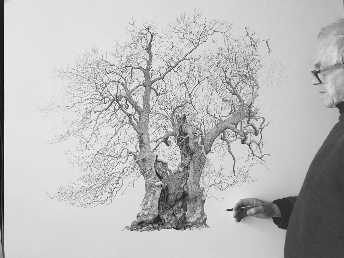 tree drawing artists