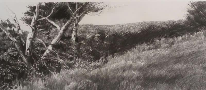 how to draw grass with charcoal