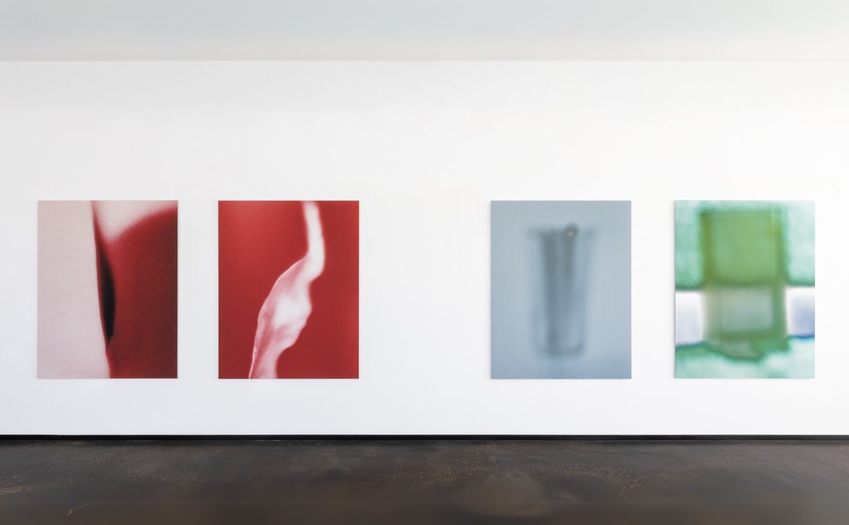 Exhibitions | In The Pink - Fine Photo Art Gallery