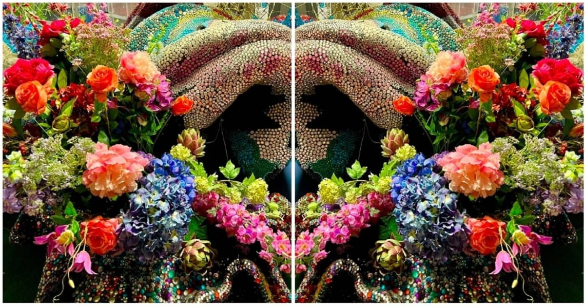 Current exhibitions | Vigo