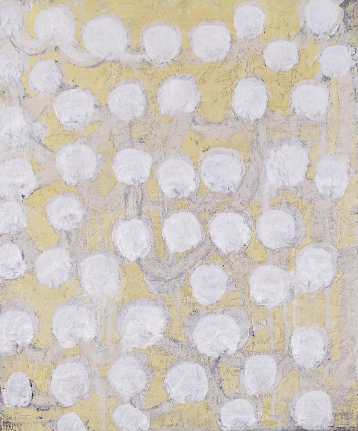 Jane Sheppard - Exhibitions | Velarde Gallery
