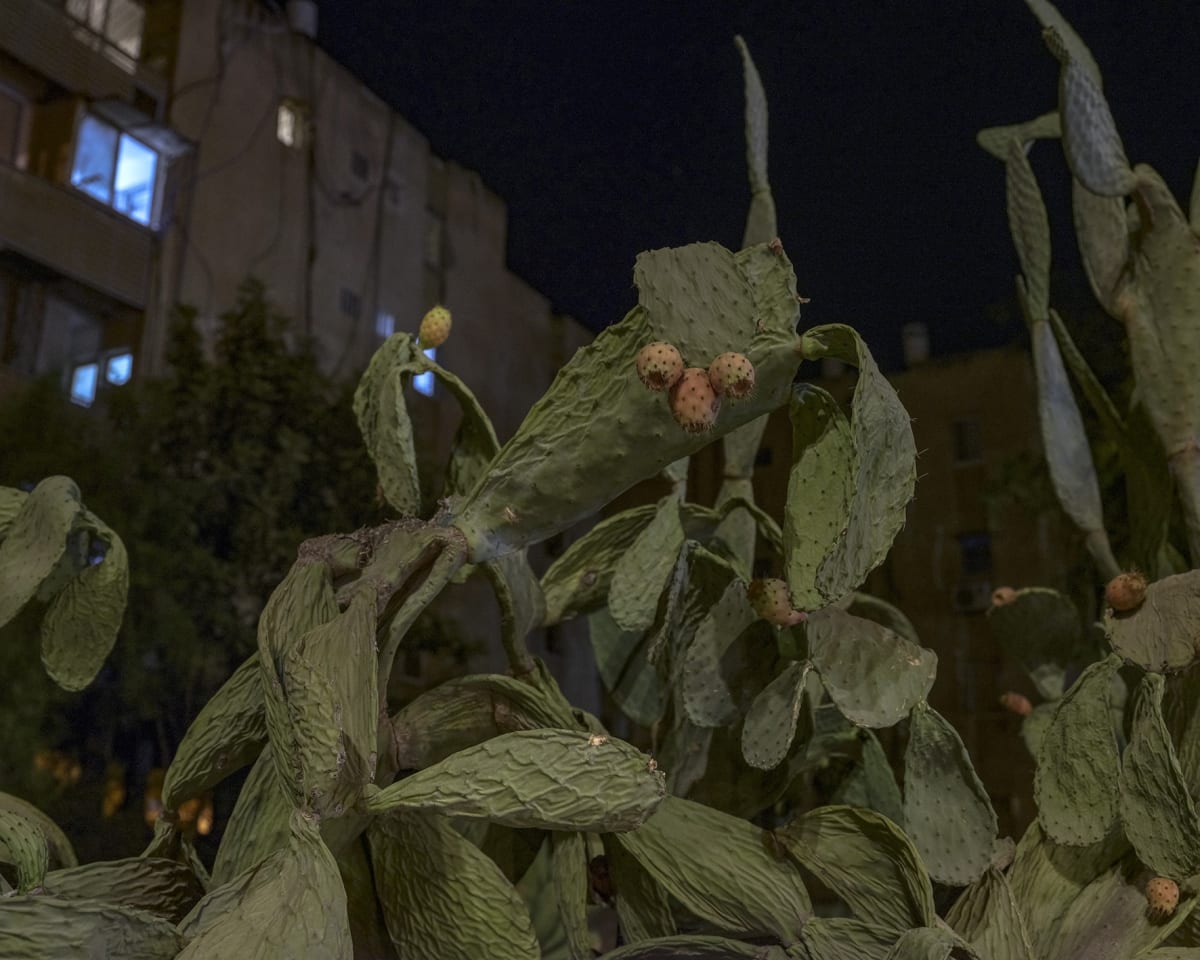 Exhibitions | Dvir Gallery