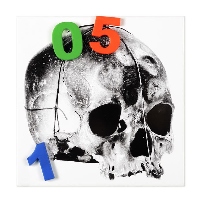 Exhibitions | Nathan Chiche