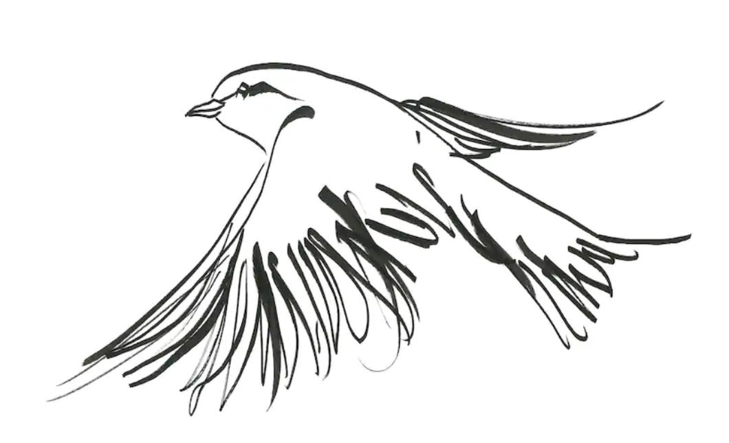 Simple Sparrow Outline