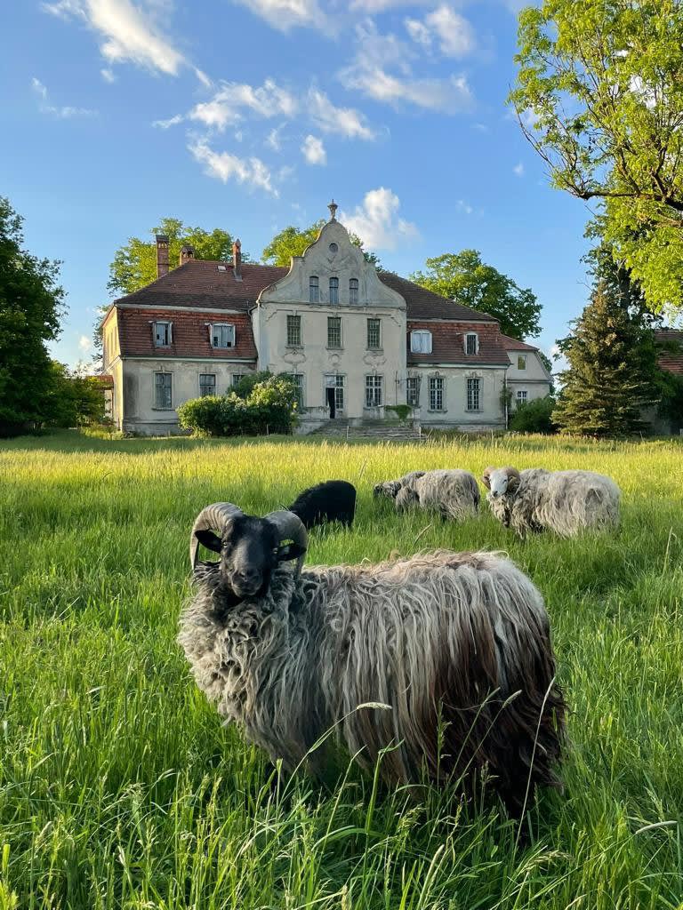 Alessandro Keegan - Exhibitions | Kristin Hjellegjerde