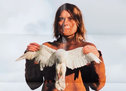 Exhibitions | Paul Stolper