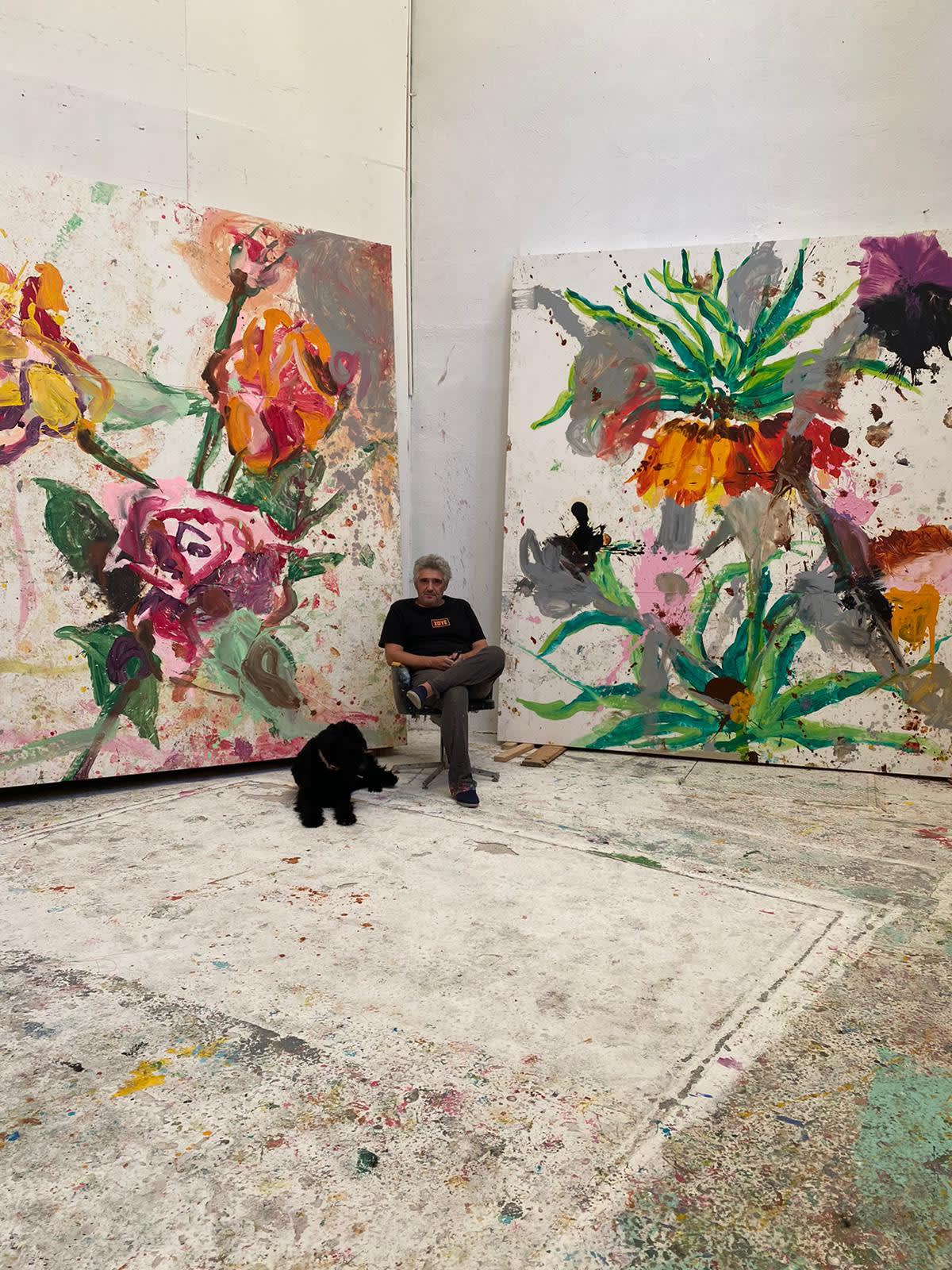 Exhibitions | Pulpo Gallery