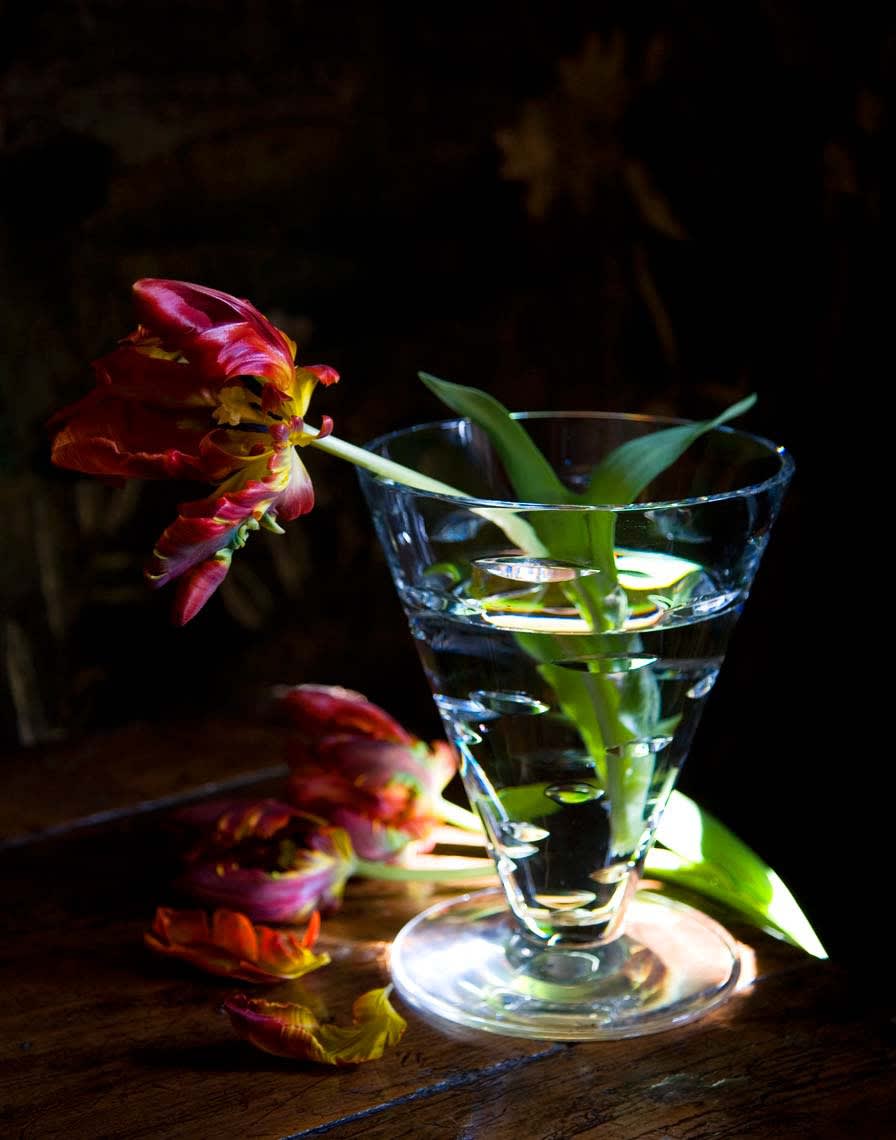 Tessa Traeger - Works | Purdy Hicks Gallery