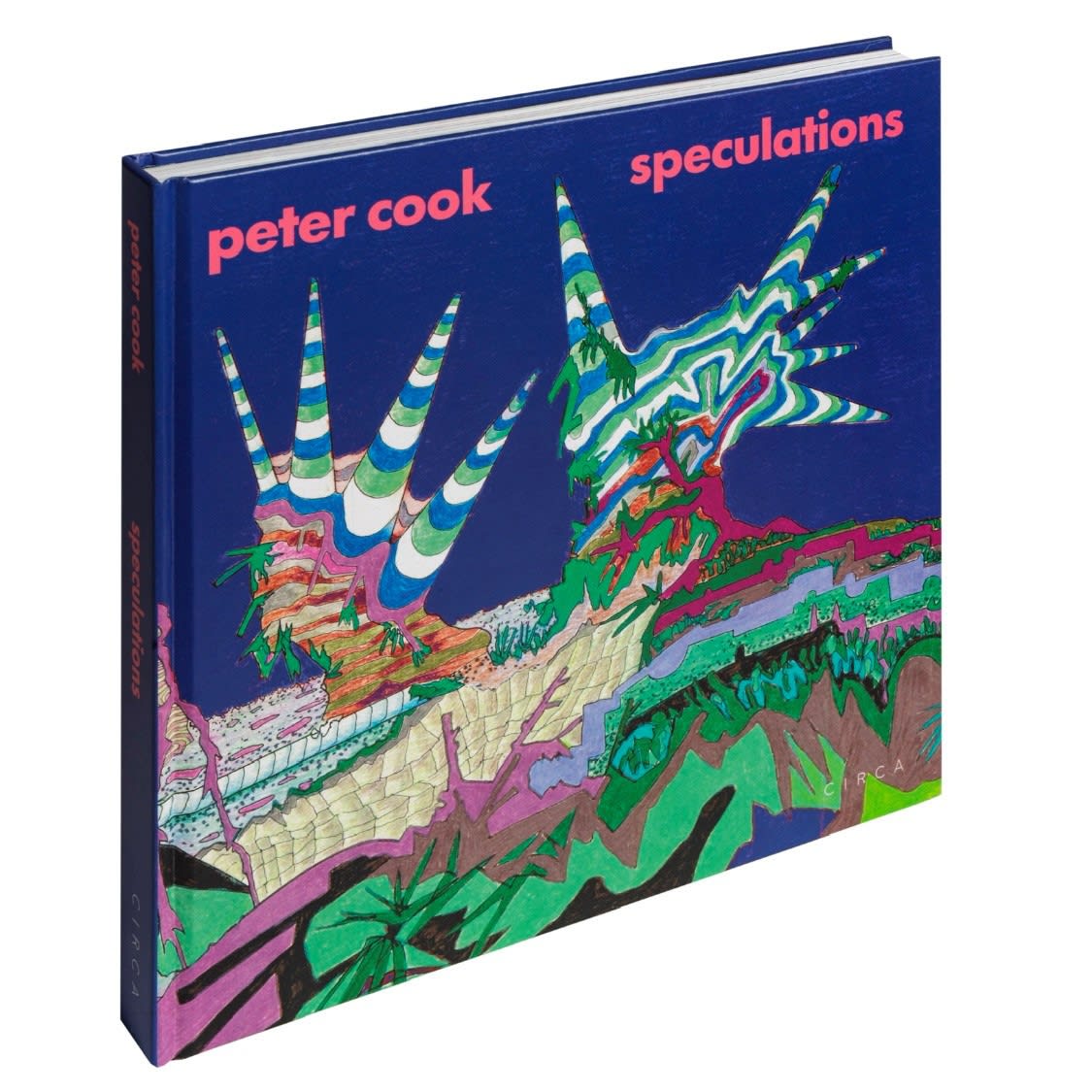 Peter Cook - Publications | Richard Saltoun