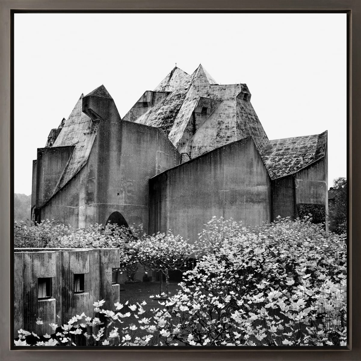 Don Cameron - Exhibitions | GALLERY SALLY DAN-CUTHBERT