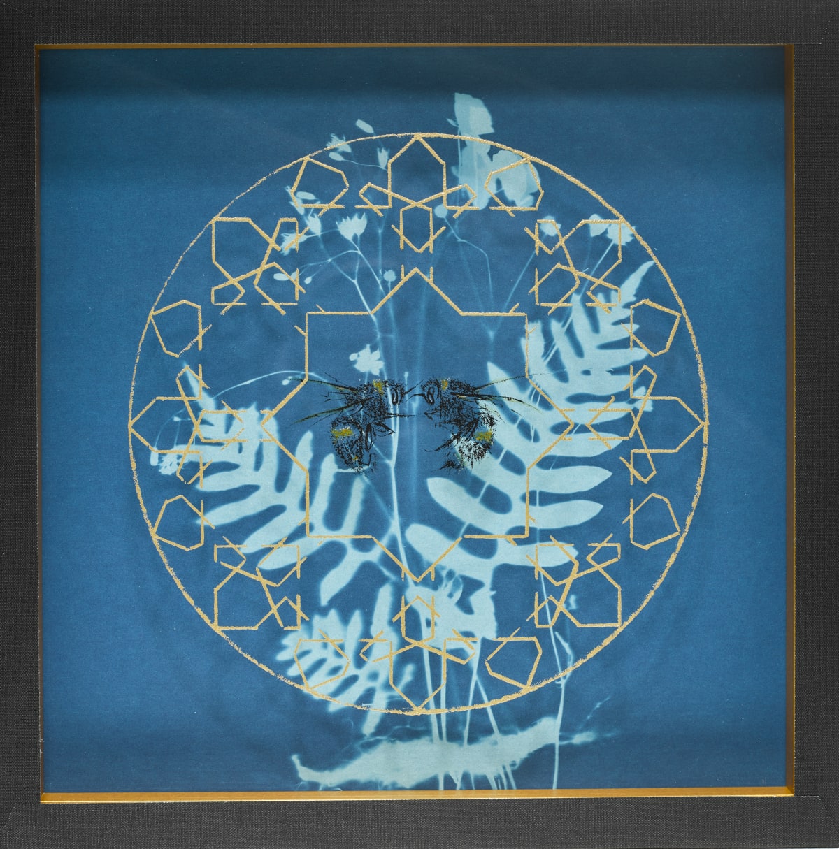 Jessica Albarn works | The Drang Gallery