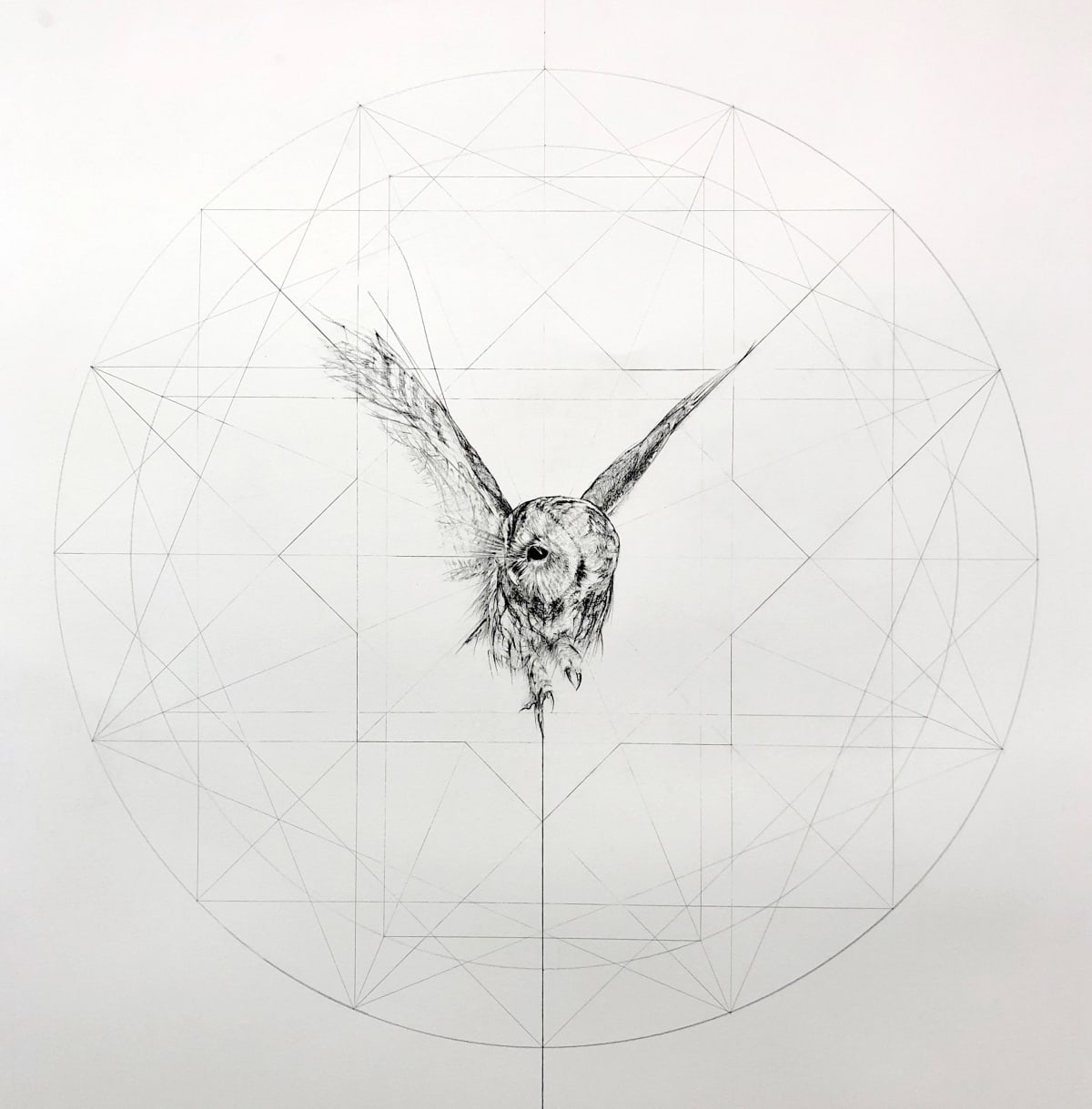 Jessica Albarn works | The Drang Gallery