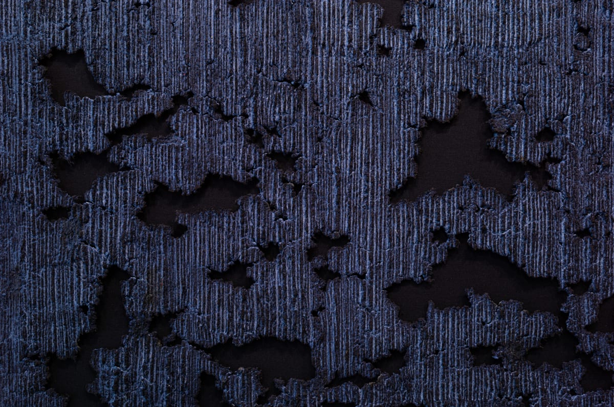 Alex Coetzee - Exhibitions | THK Gallery