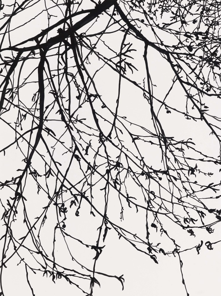 Paintings | Sue Arrowsmith