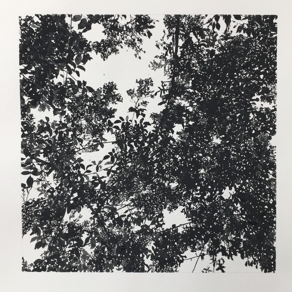 Paintings | Sue Arrowsmith