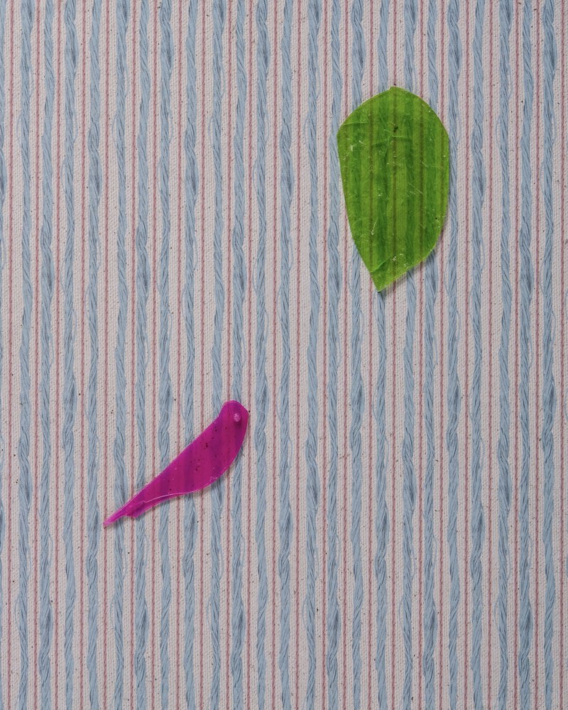 Andrew Lambirth, Bird & Tree, 2020 | Andrew Lambirth | The Redfern Gallery